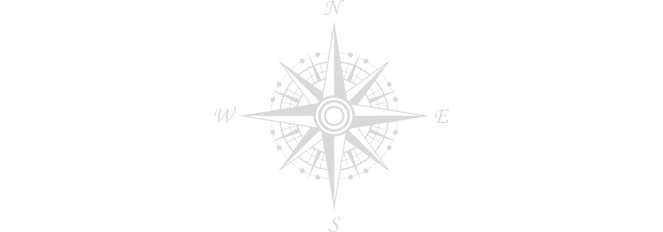 Beginner Options Trading with OptionsANIMAL