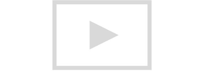 Learn to Trade Options with OptionsANIMAL